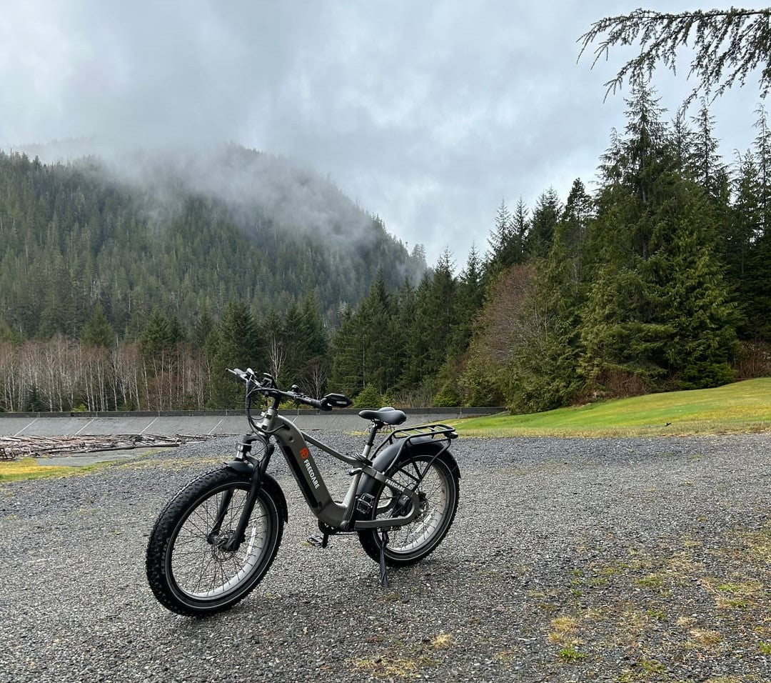 Revolutionizing the Outdoors: The Rise of Electric Bikes for Hunting ...