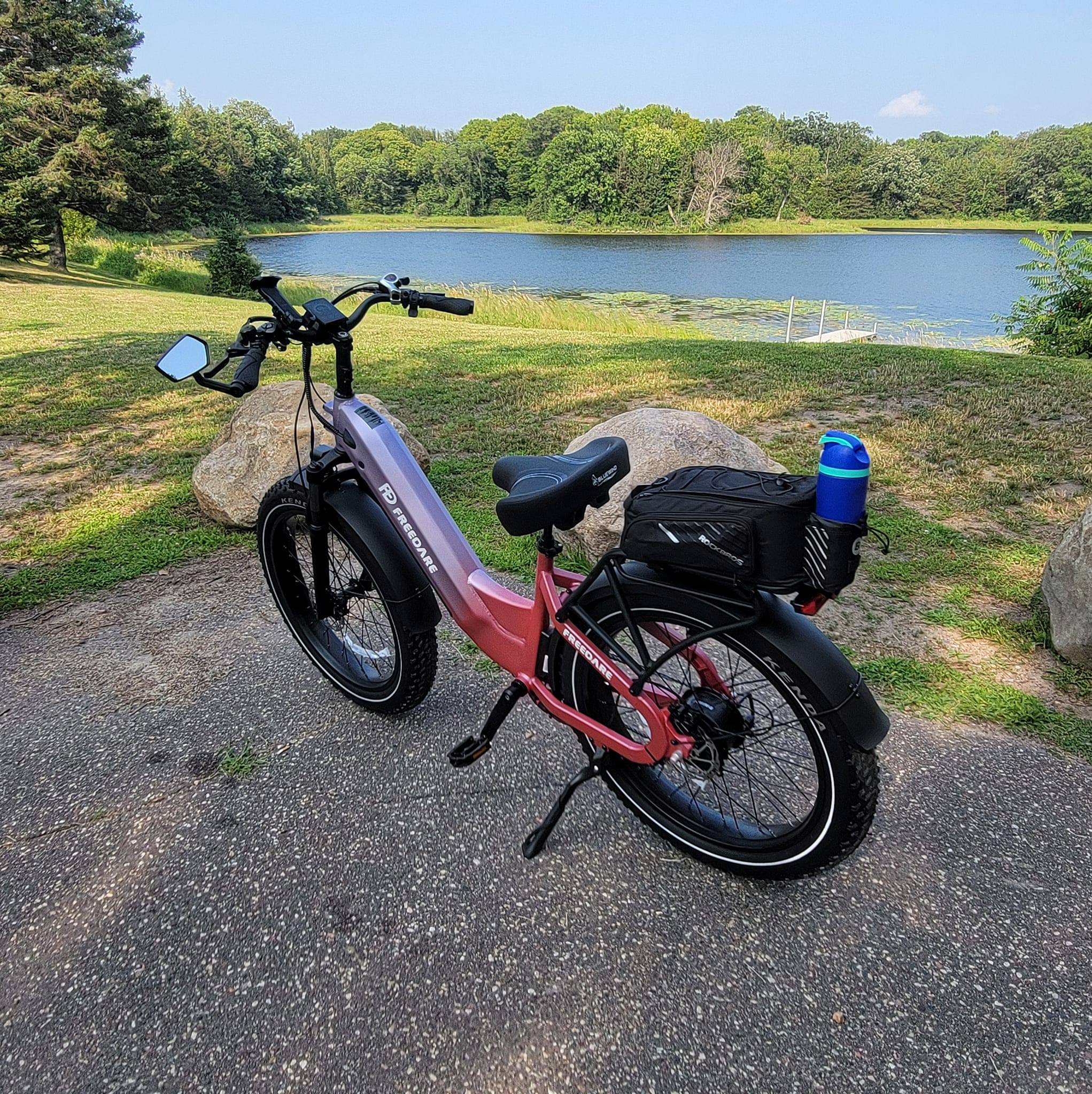 Electric Bike Basics: A Simple Guide for First-Timers – Freedare