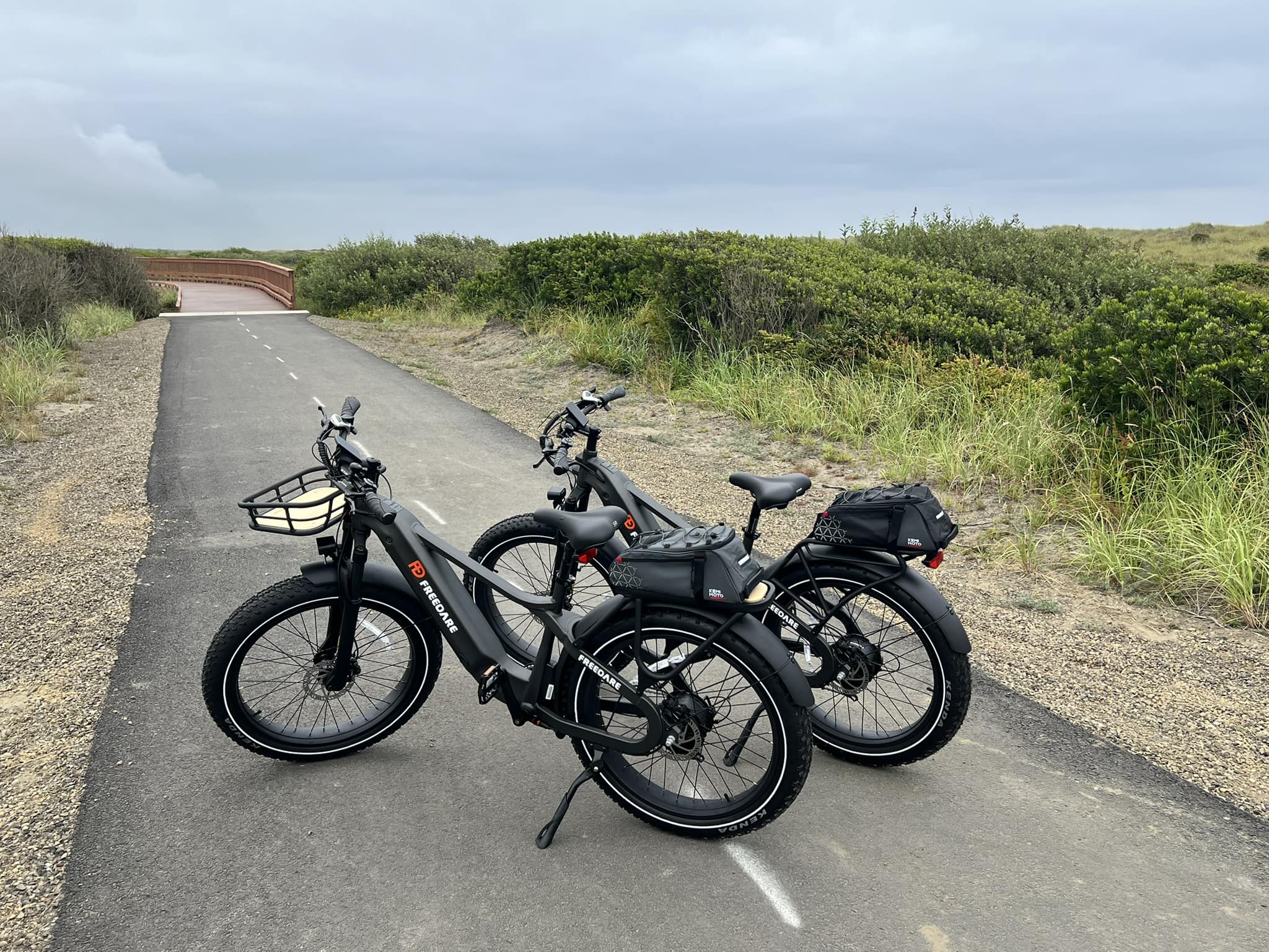 Choosing the Right Accessories for Your Electric Bike – Freedare