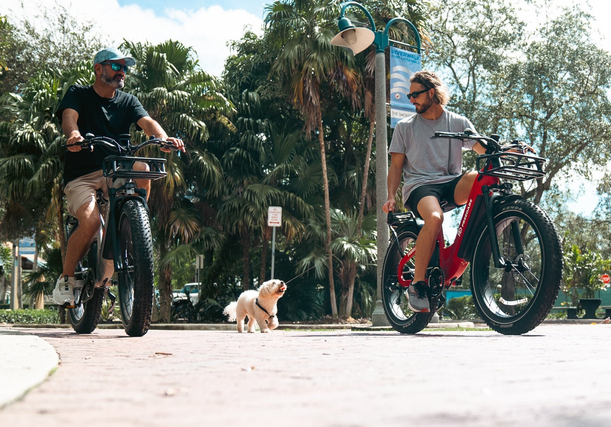 How to achieve daily exercise targets through cycling? – Freedare