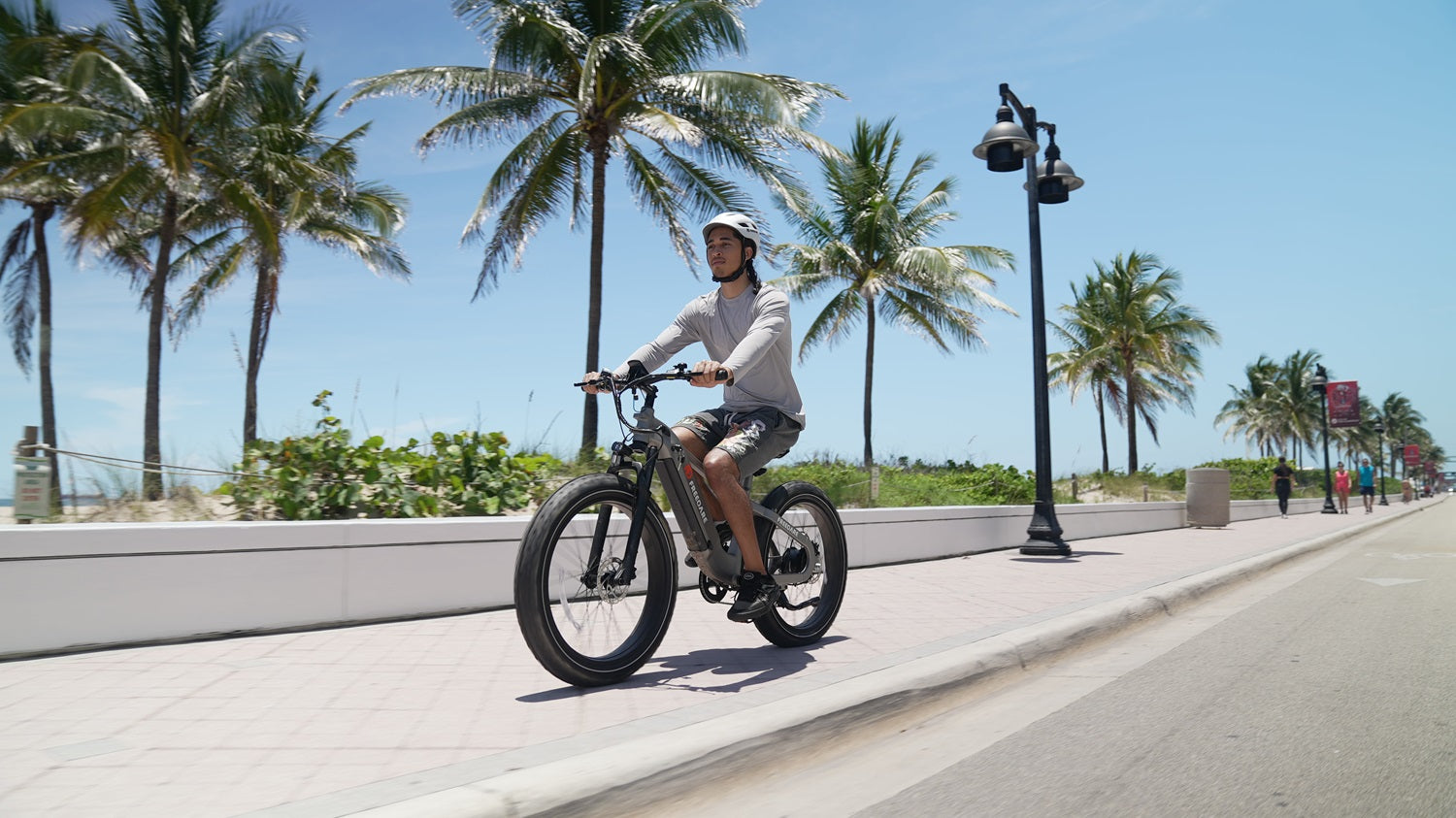 FD Select – Freedare