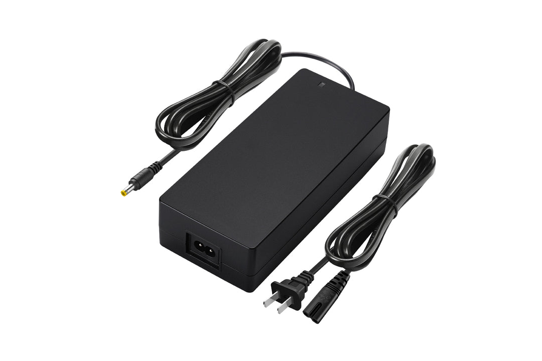 Freedare DC48V Lithium Battery Charger