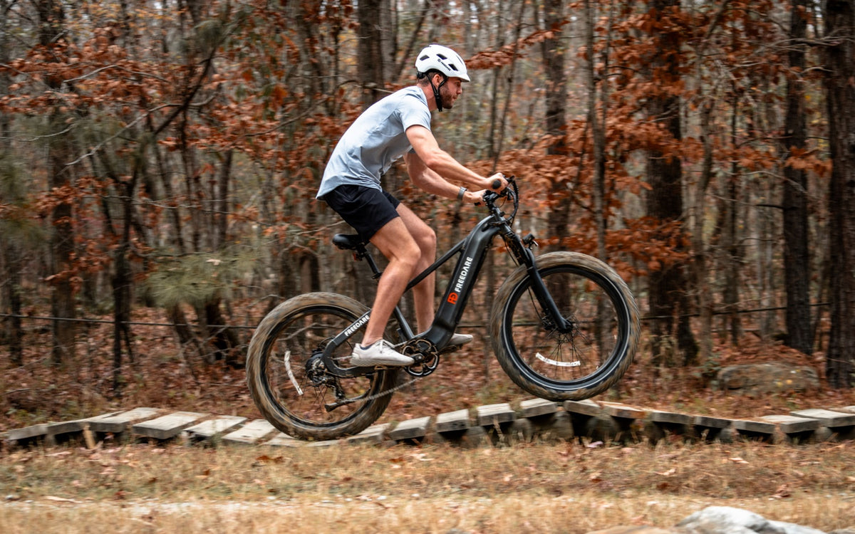 Freedare Electric Bike Official Website